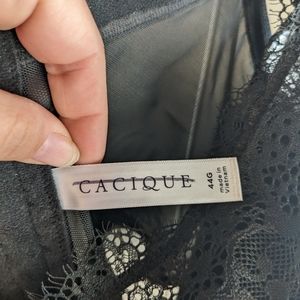 Lane Bryant | Intimates & Sleepwear | Cacique By Lane Bryant Bra | Poshmark